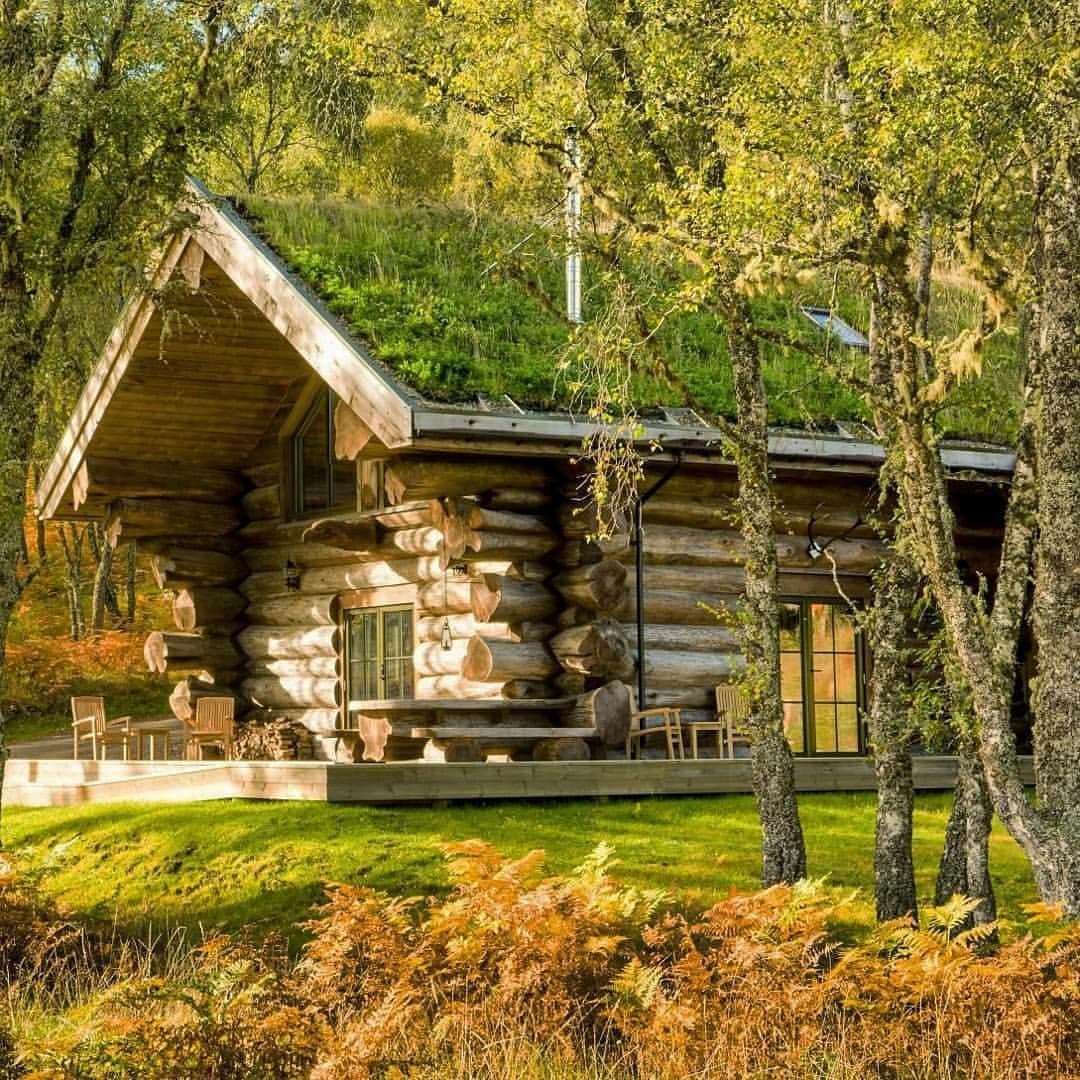 Exploremos juntos esta bella cabaña con troncos de madera circular y ...
