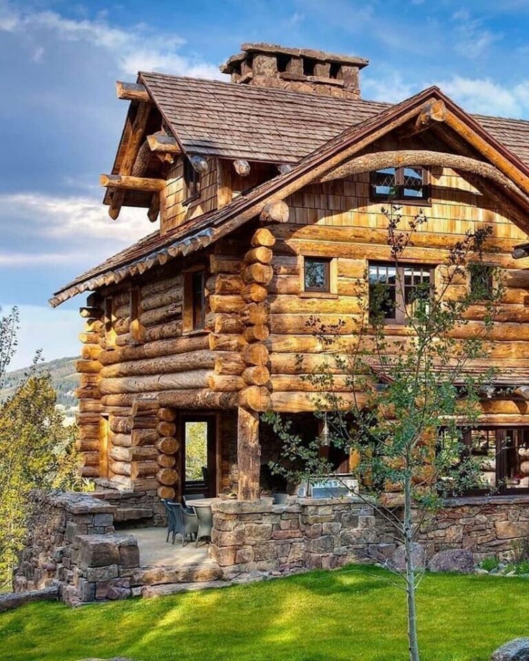 Cabañas de Troncos Circulares: Una Experiencia Única en la Naturaleza ...